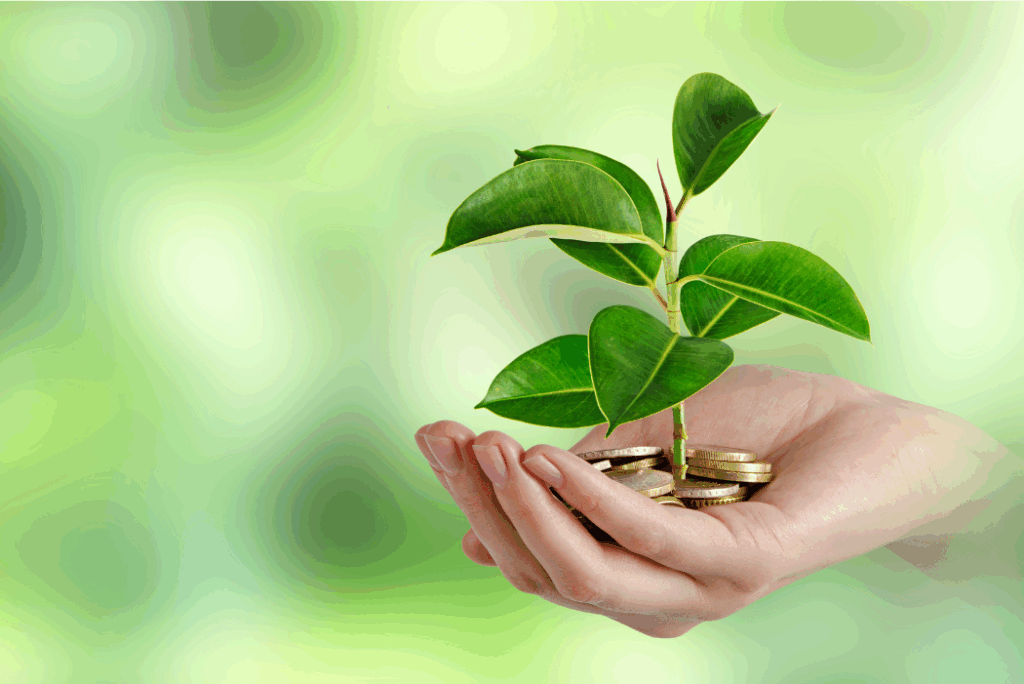 Going Green with Your Portfolio: Getting Smart or Getting Trendy ...